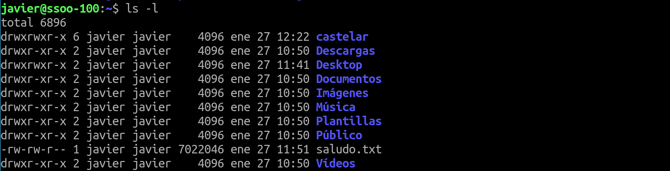 GNU/Linux Bash – educatica!